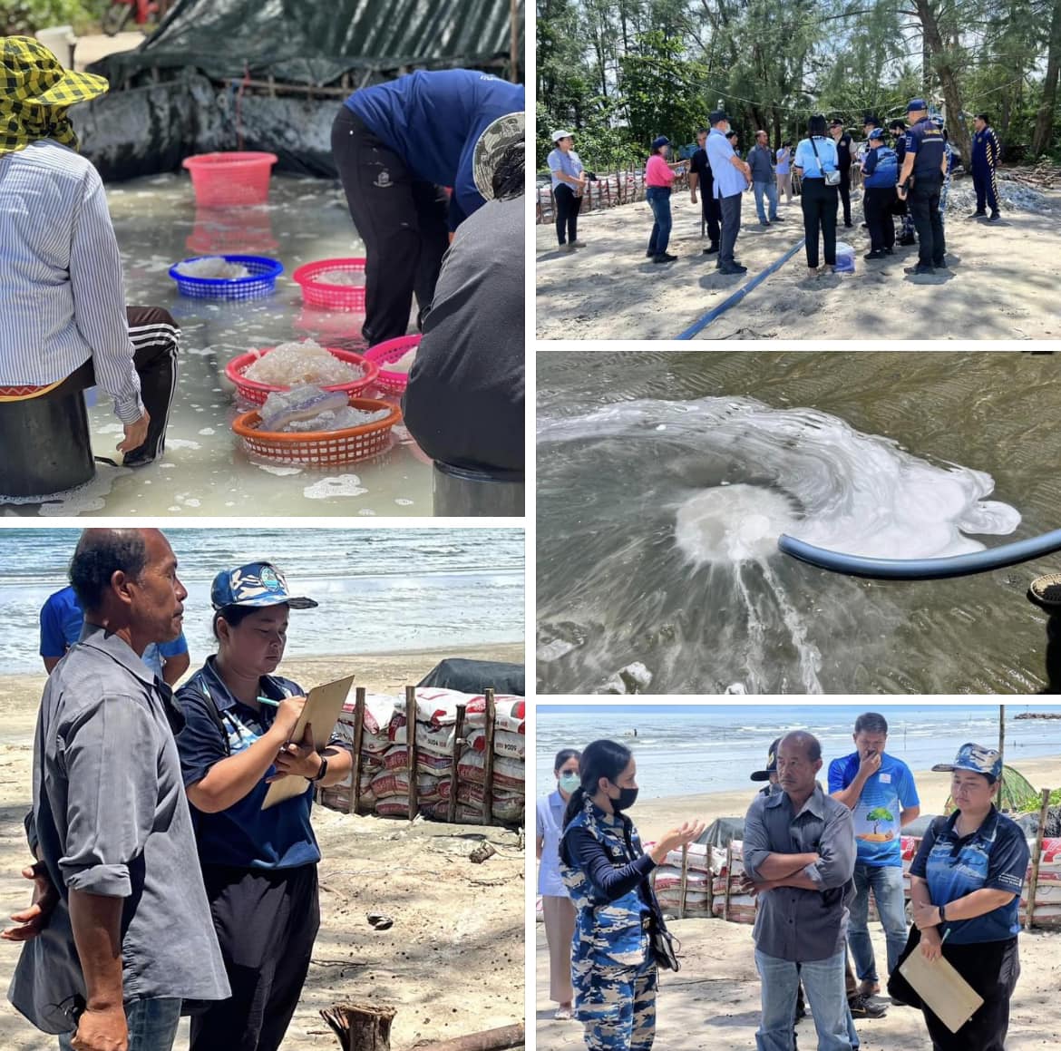 กรม ทช. ตรวจสอบคุณภาพน้ำทะเล ชายหาดบ้านคลองขุด จ.ตราด - กรมทรัพยากรทาง ...
